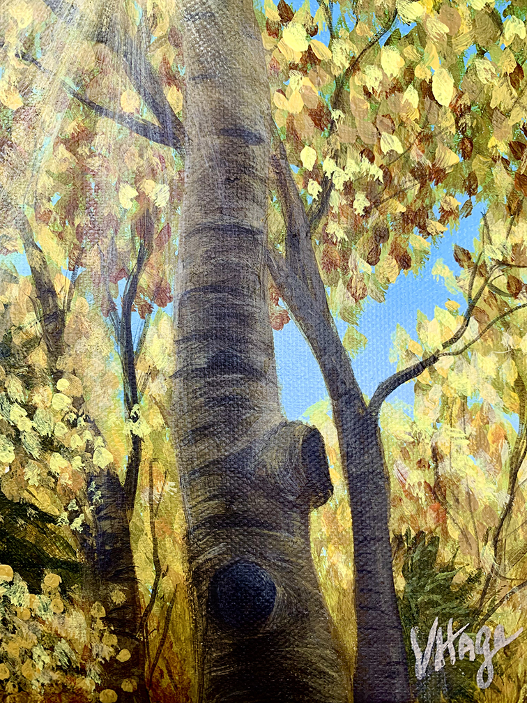 Yellow Canopy – Veronica Hage